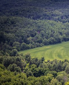 Salisbury’s History - Salisbury Association Site