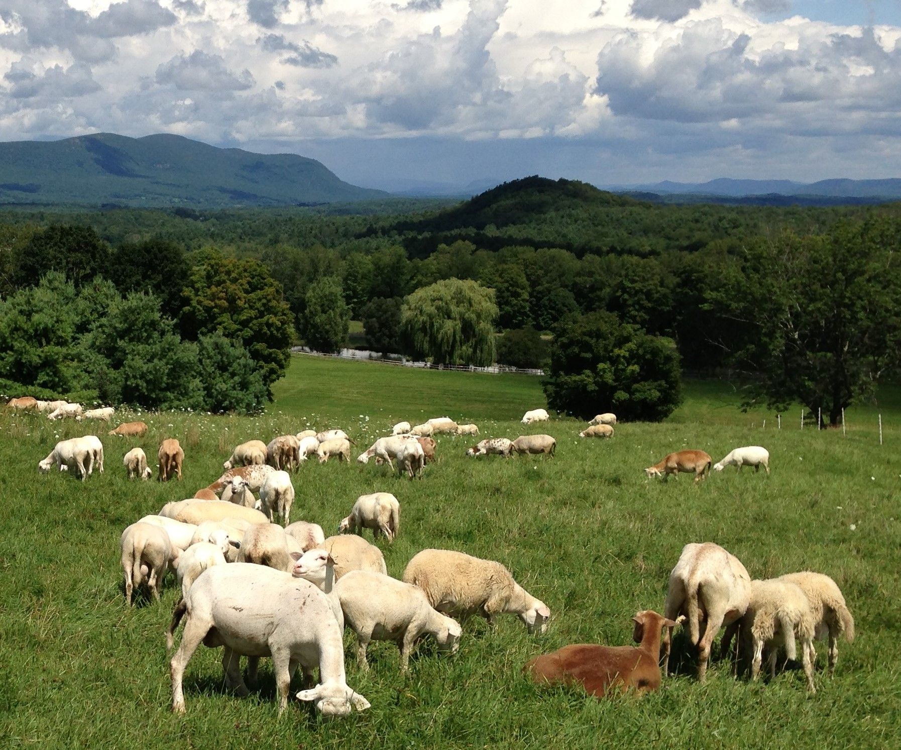 Salisbury Today - Salisbury Association Site