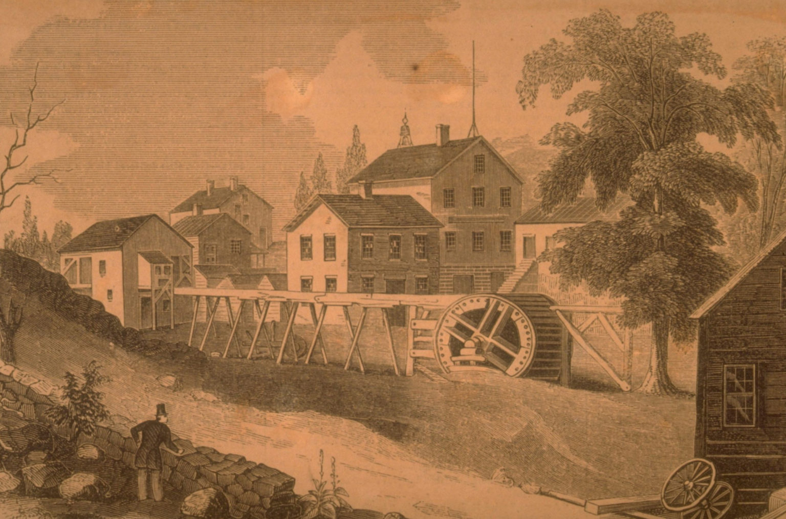 Home - Salisbury Association Site